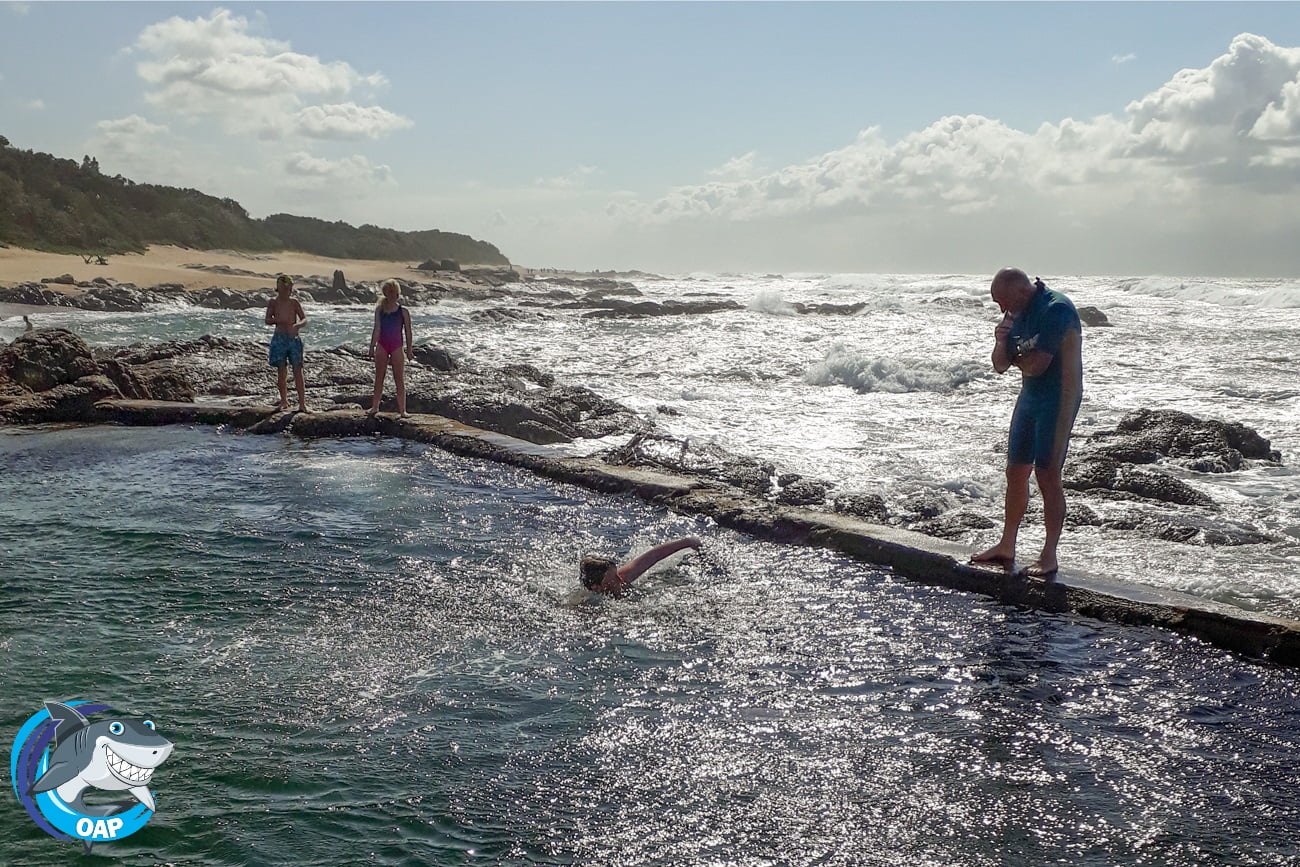 Photo Gallery 📷 Sharkz Aquatics