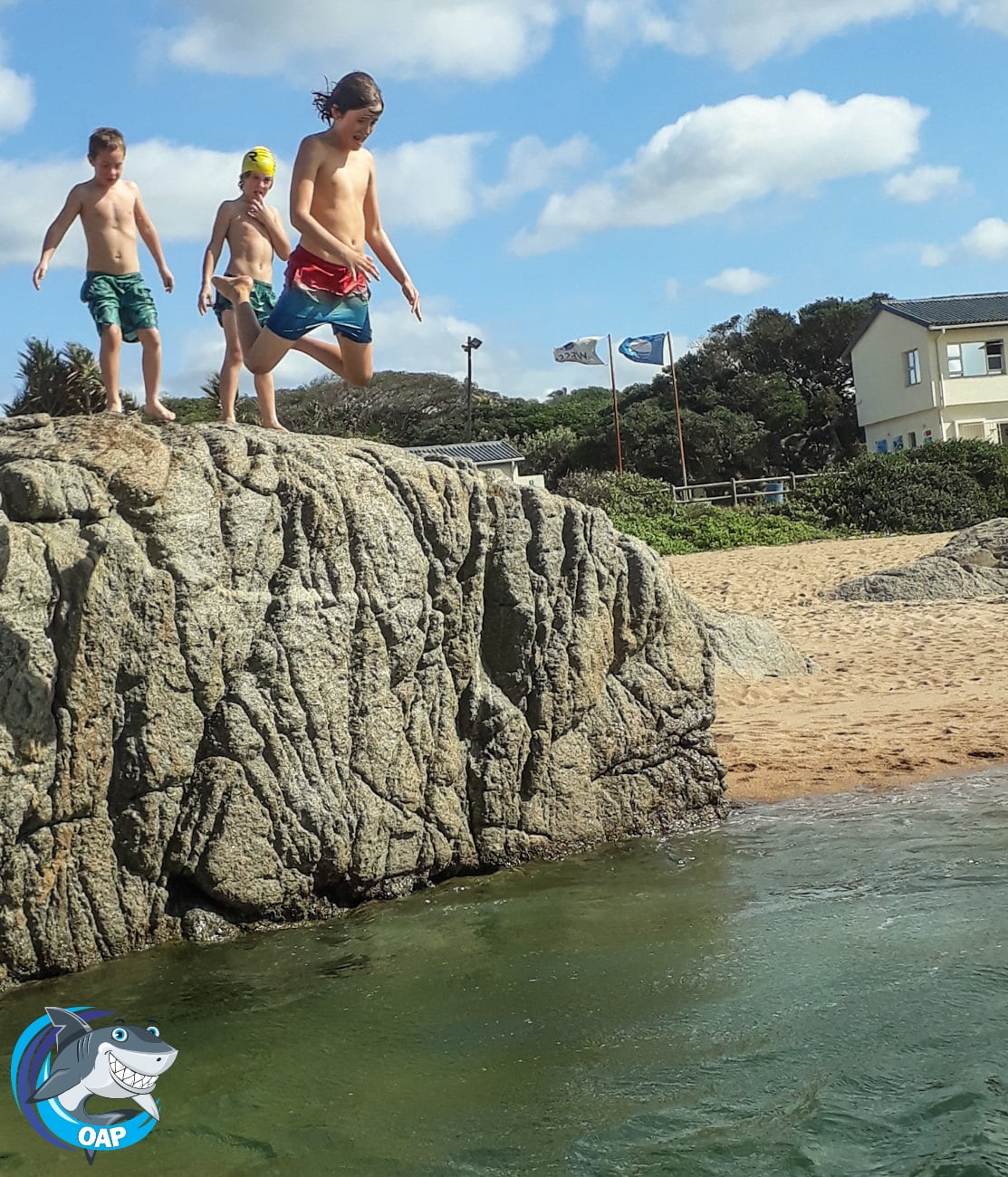 Photo Gallery 📷 Sharkz Aquatics